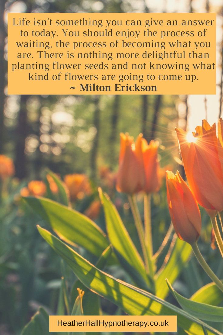 Quotes on Hypnotherapy - Heather Hall Cognitive Hypnotherapy